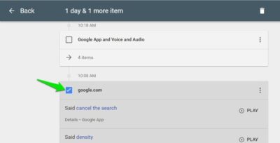 How to Delete Google Voice Search History and Regain Your Privacy ...