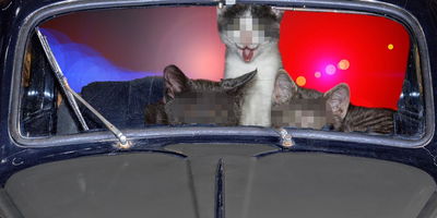 How to Blur Images Online - Make Tech Easier