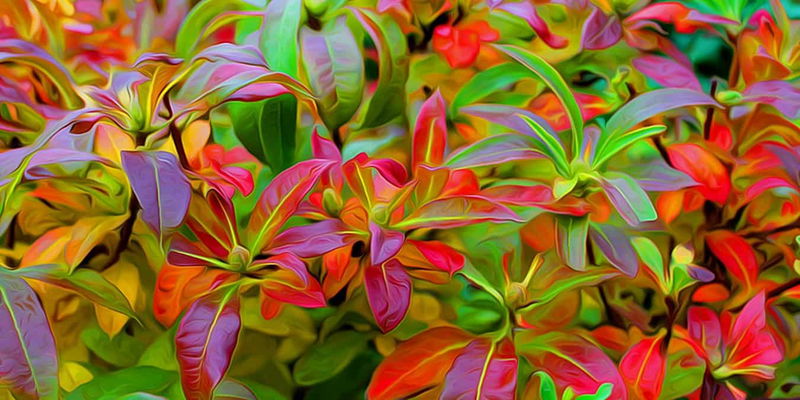 How to Customize Your Mac's Terminal for Better Productivity - Make ...