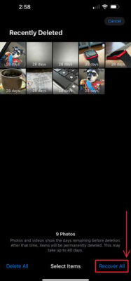 How to Recover Permanently Deleted Photos From iPhone and iPad - Make ...