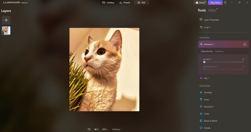 8 Photo Editors that Use AI to Enhance Your Images - Make Tech Easier