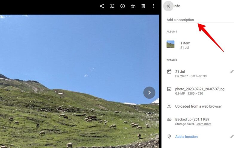 How to Add Description to Photos and Albums on Google Photos - Make ...