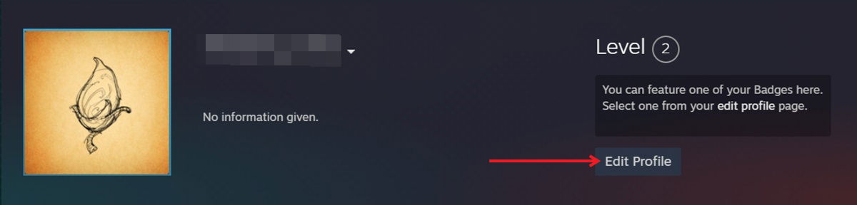 How to Hide Your Activity in Steam - Make Tech Easier