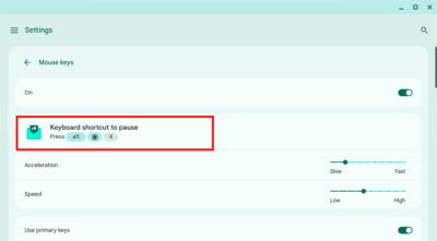 How to Control the Mouse Cursor Using Keyboard in Chromebook - Make ...