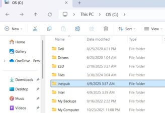 Did You Delete the Inetpub Folder? Here’s How to Bring It Back - Make ...